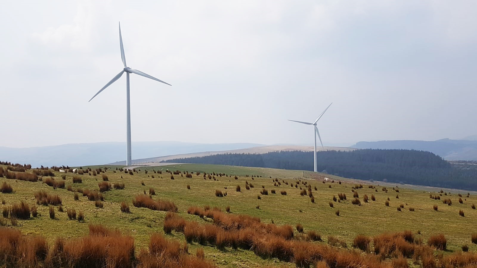 Is the communication system of your wind farm sufficiently robust?