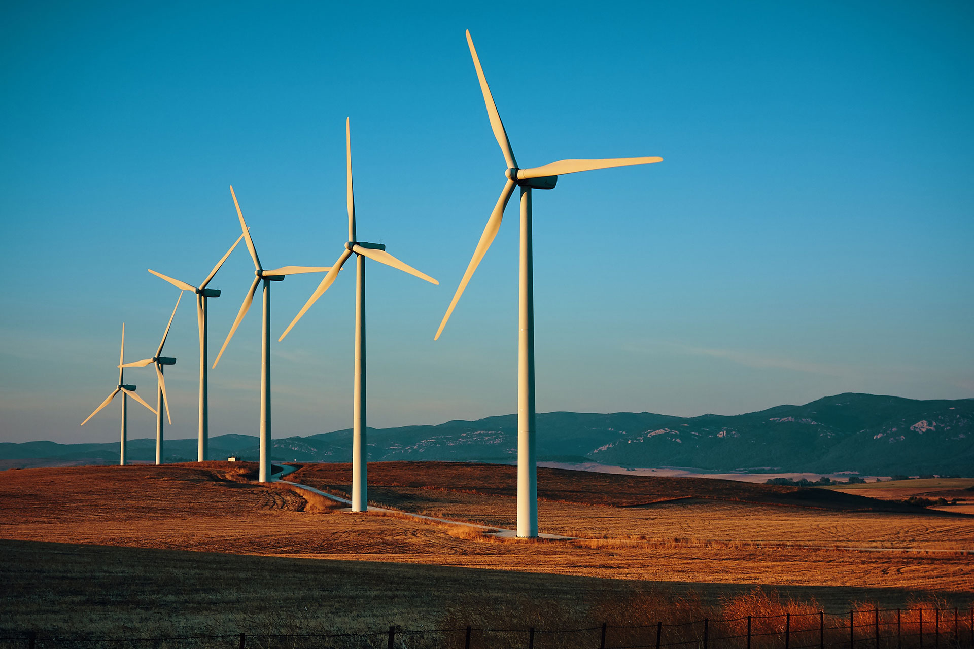 A key asset optimisation for better performance - Greensolver